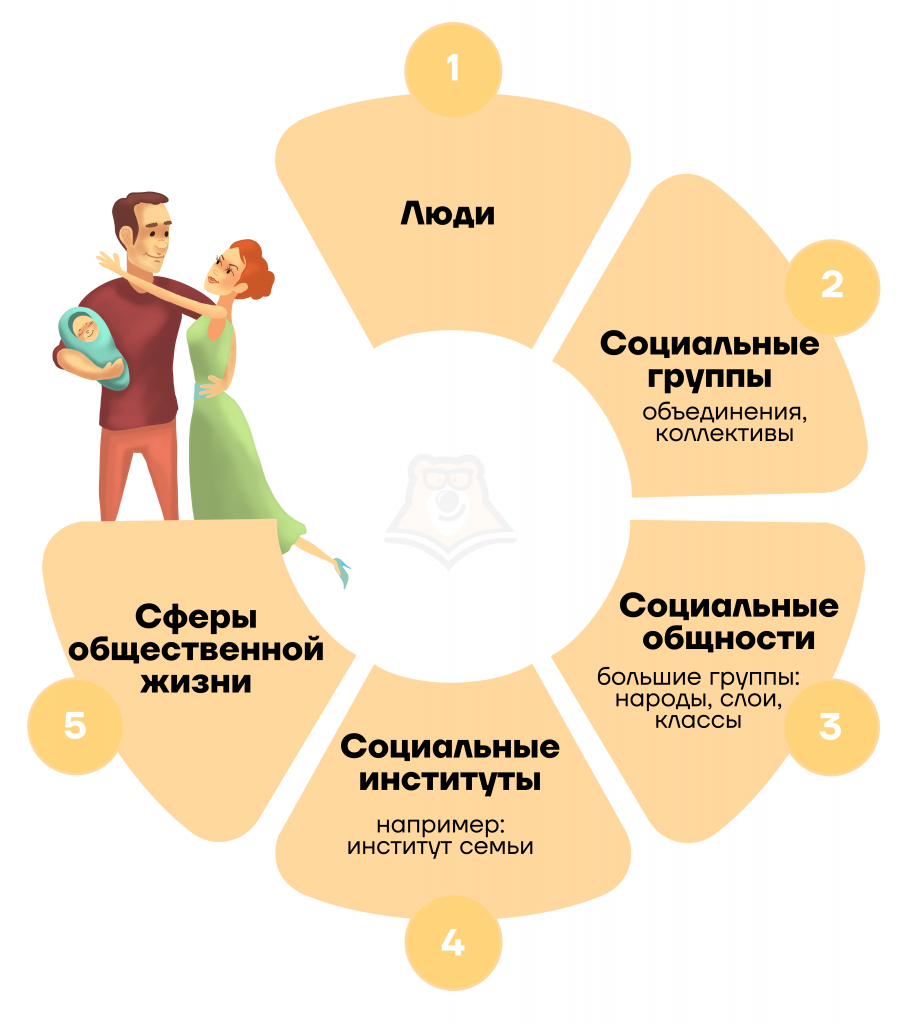 Строение общества - Умскул Учебник